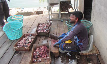 Berita 2021c - Senapang tempuling dijumpai